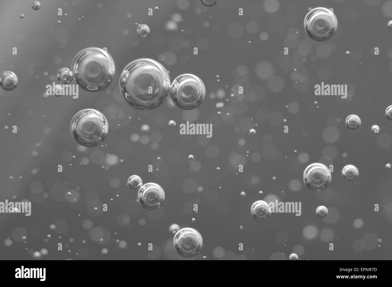 Macro Oxygen bubbles in water on black white background, concept such ...
