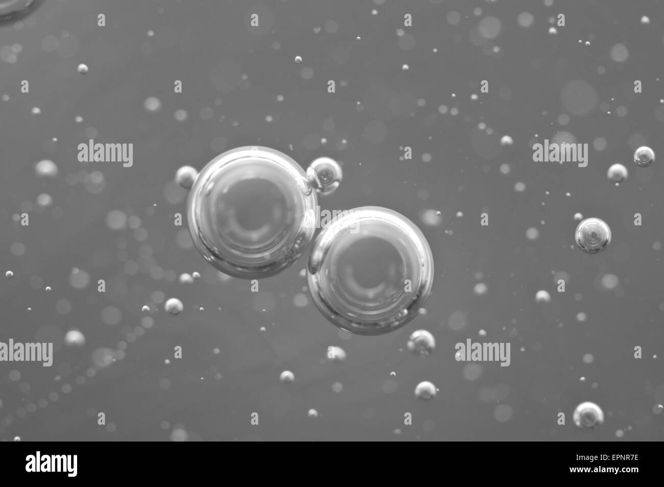 Macro Oxygen bubbles in water on black white background, concept such ...