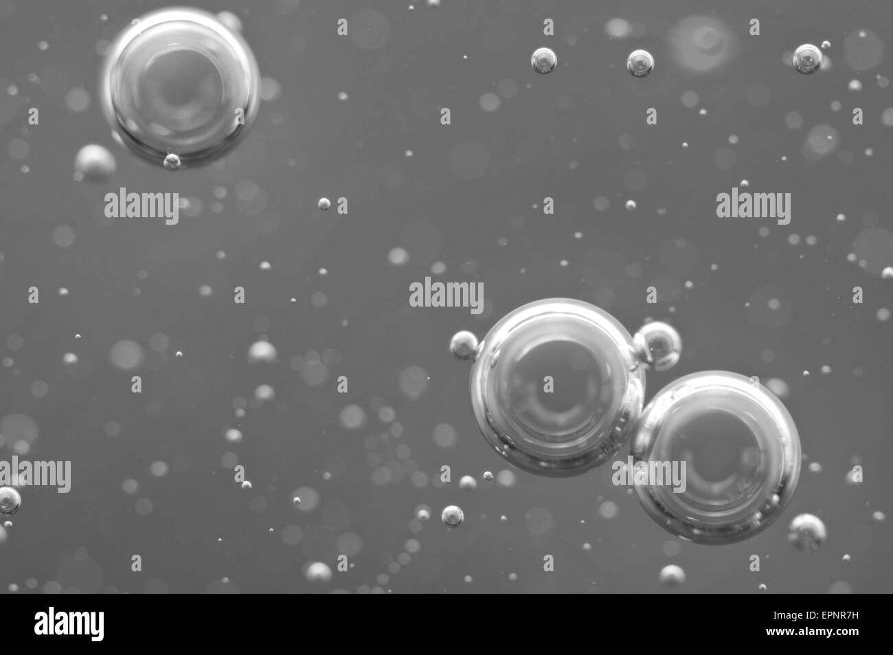 Macro Oxygen bubbles in water on black white background, concept such ...