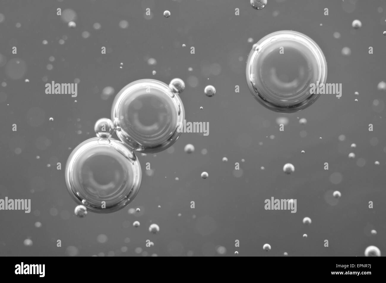 Macro Oxygen bubbles in water on black white background, concept such ...