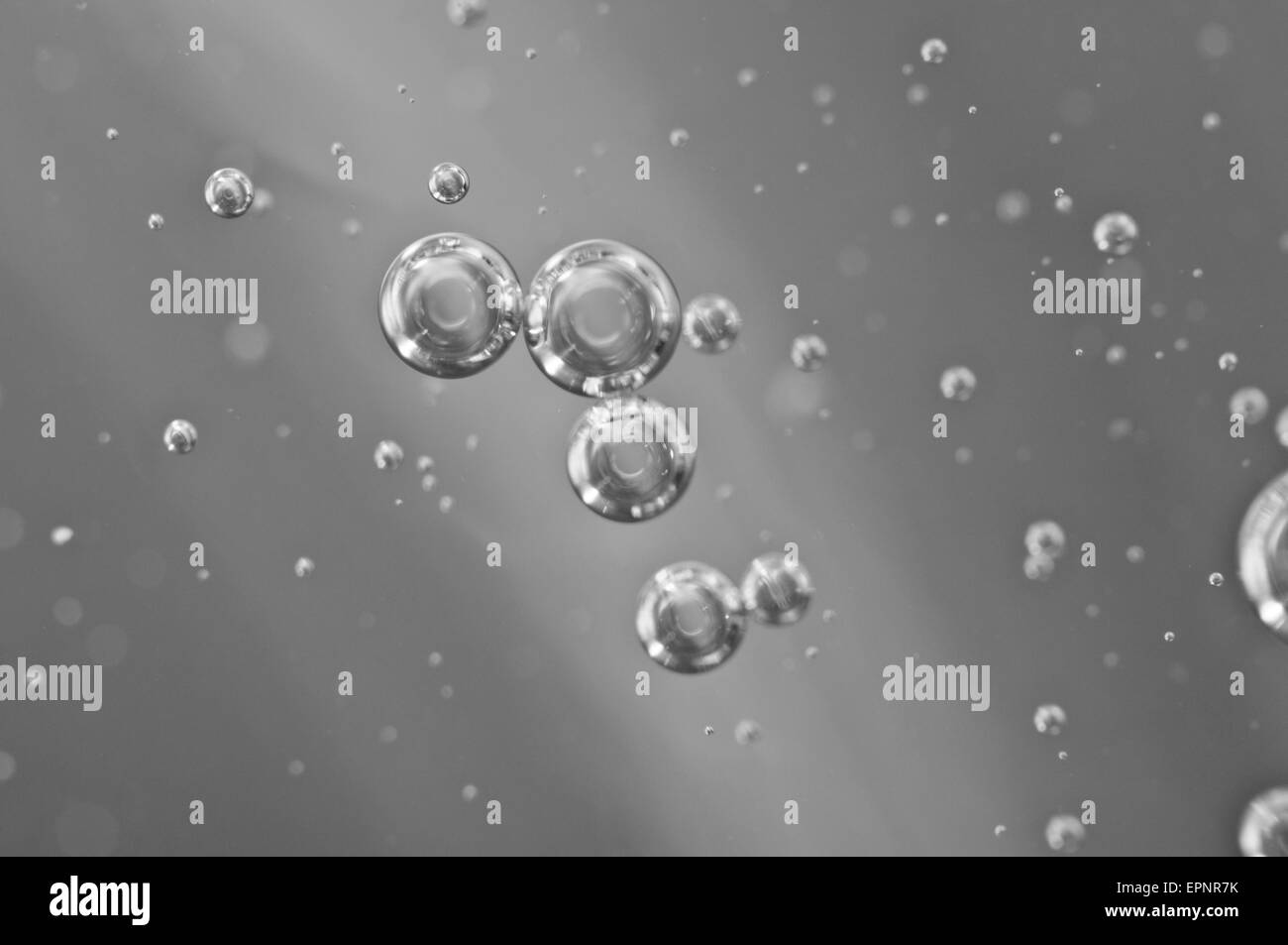 Macro Oxygen bubbles in water on black white background, concept such ...
