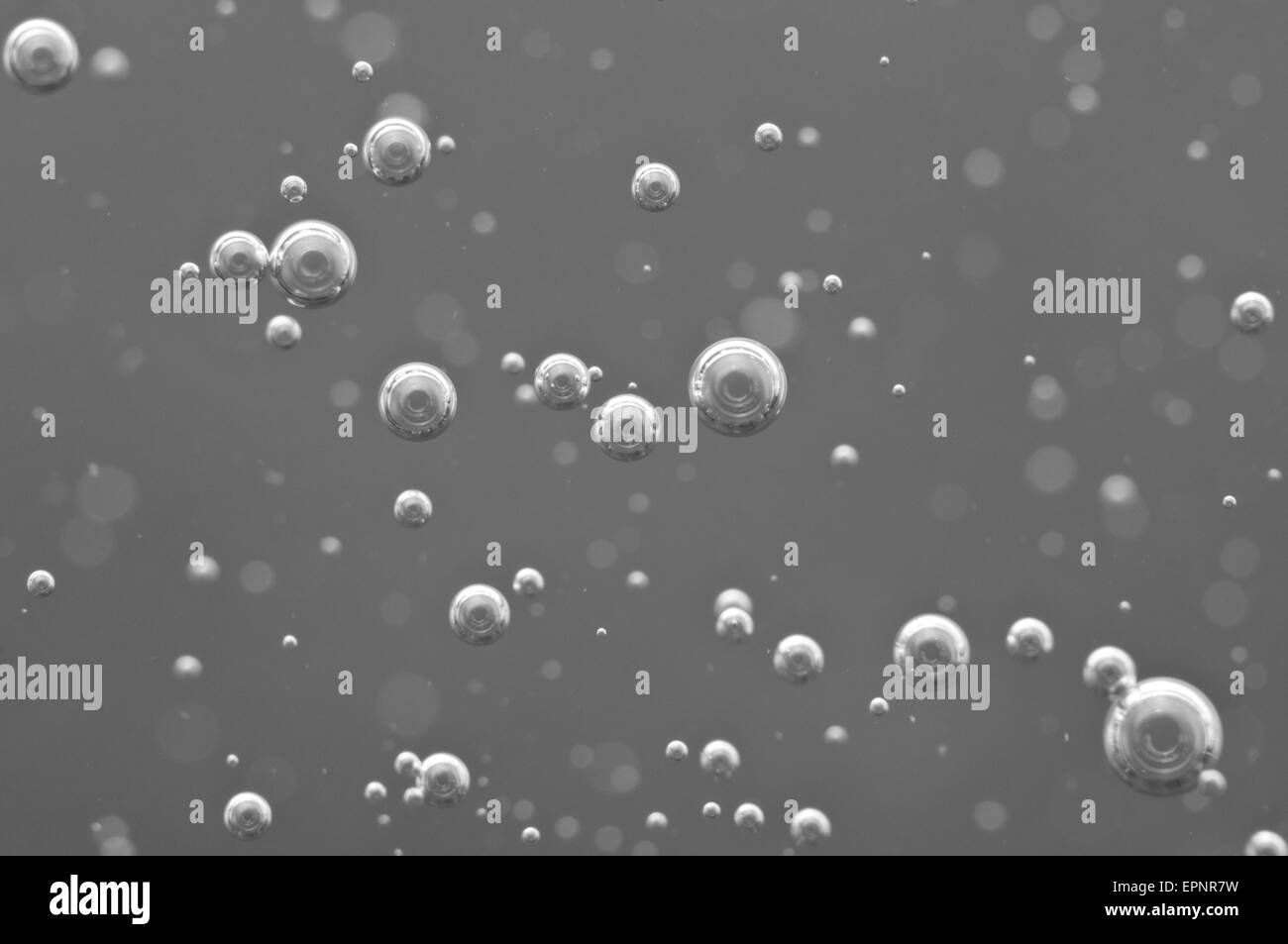 Macro Oxygen bubbles in water on black white background, concept such ...