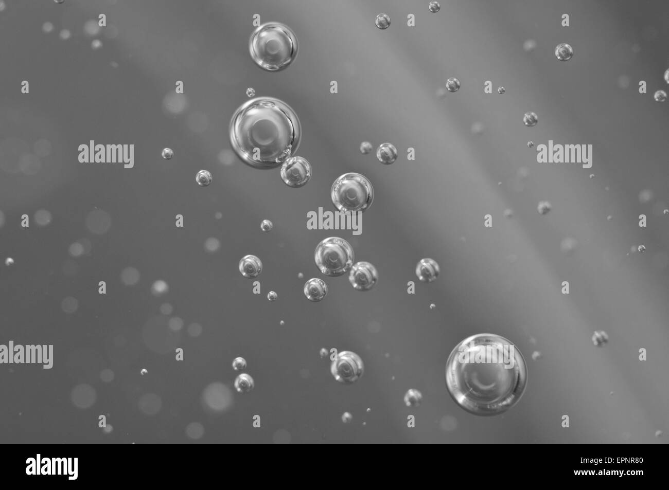 Macro Oxygen bubbles in water on black white background, concept such ...