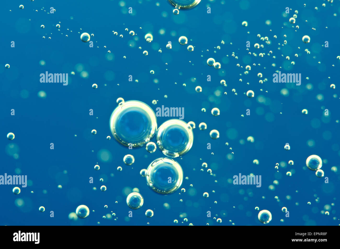 Macro Oxygen bubbles in water on a blue background, concept such as ...