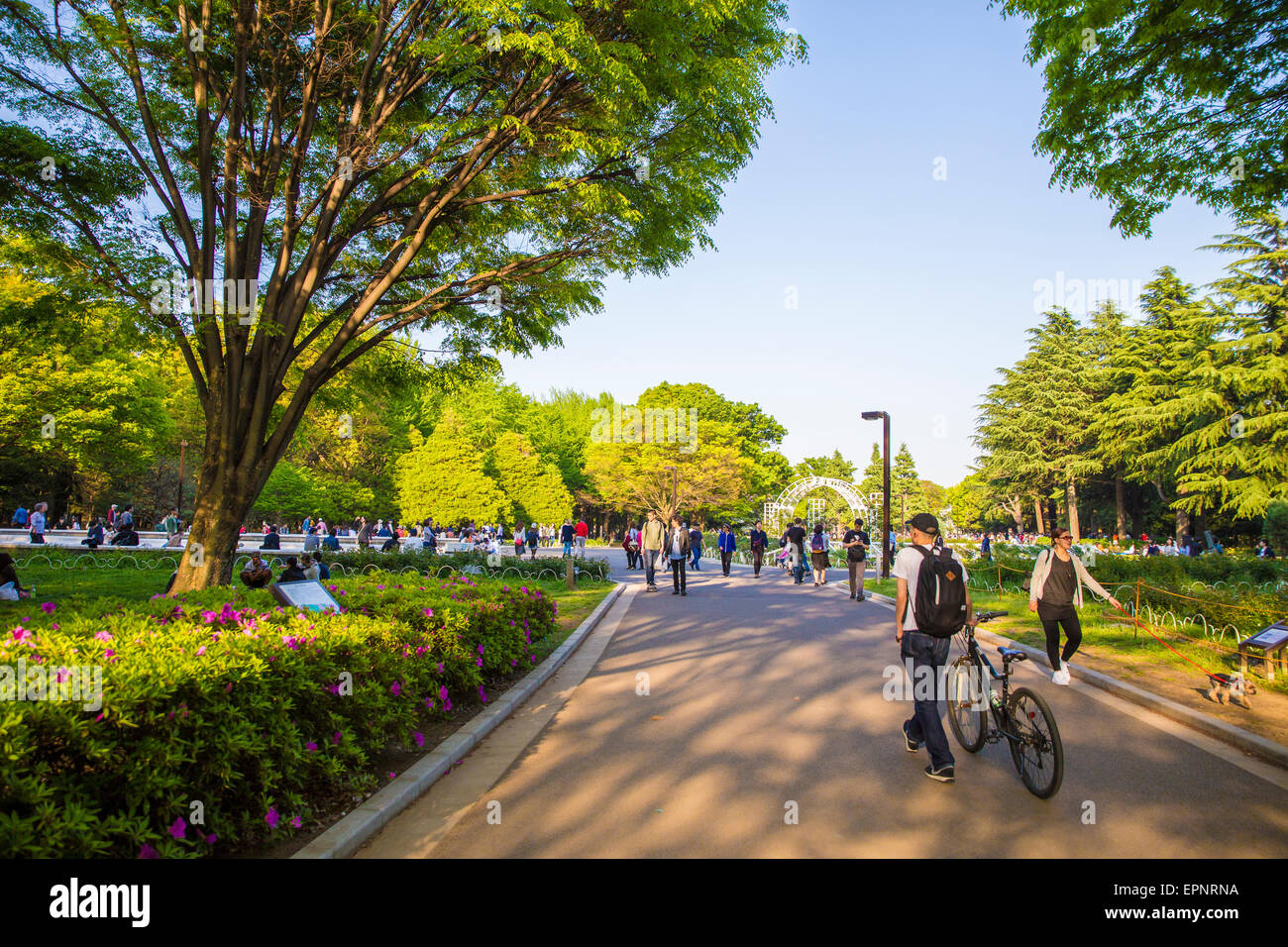 Enjoying Yoyogi Park in Tokyo Japan Stock Photo - Alamy