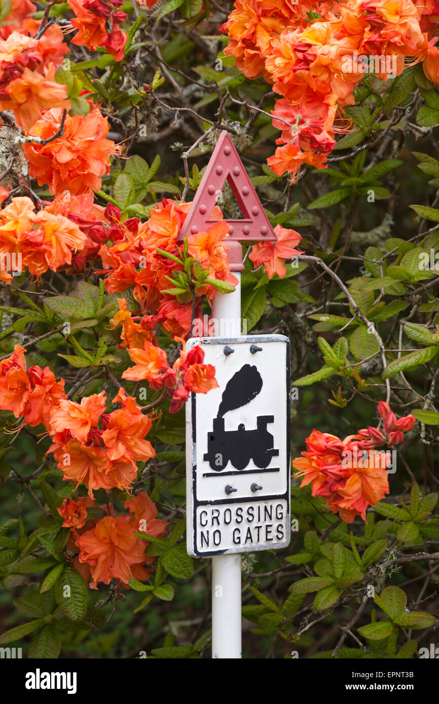 Crossing no gates sign hi-res stock photography and images - Alamy