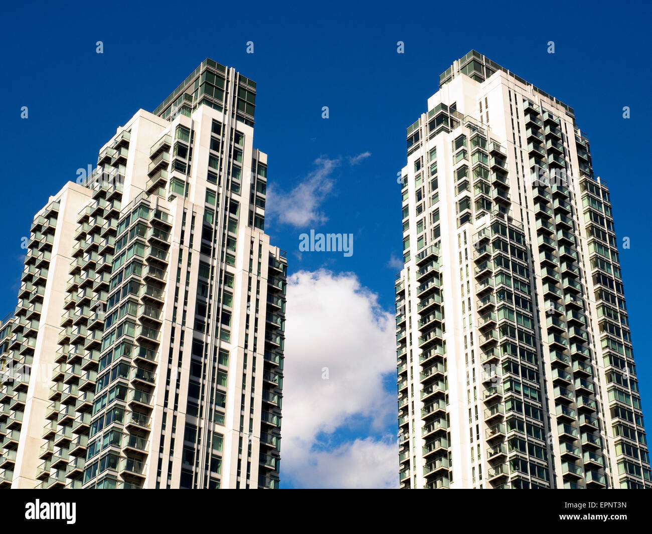 Pan peninsula dogs hi-res stock photography and images - Alamy