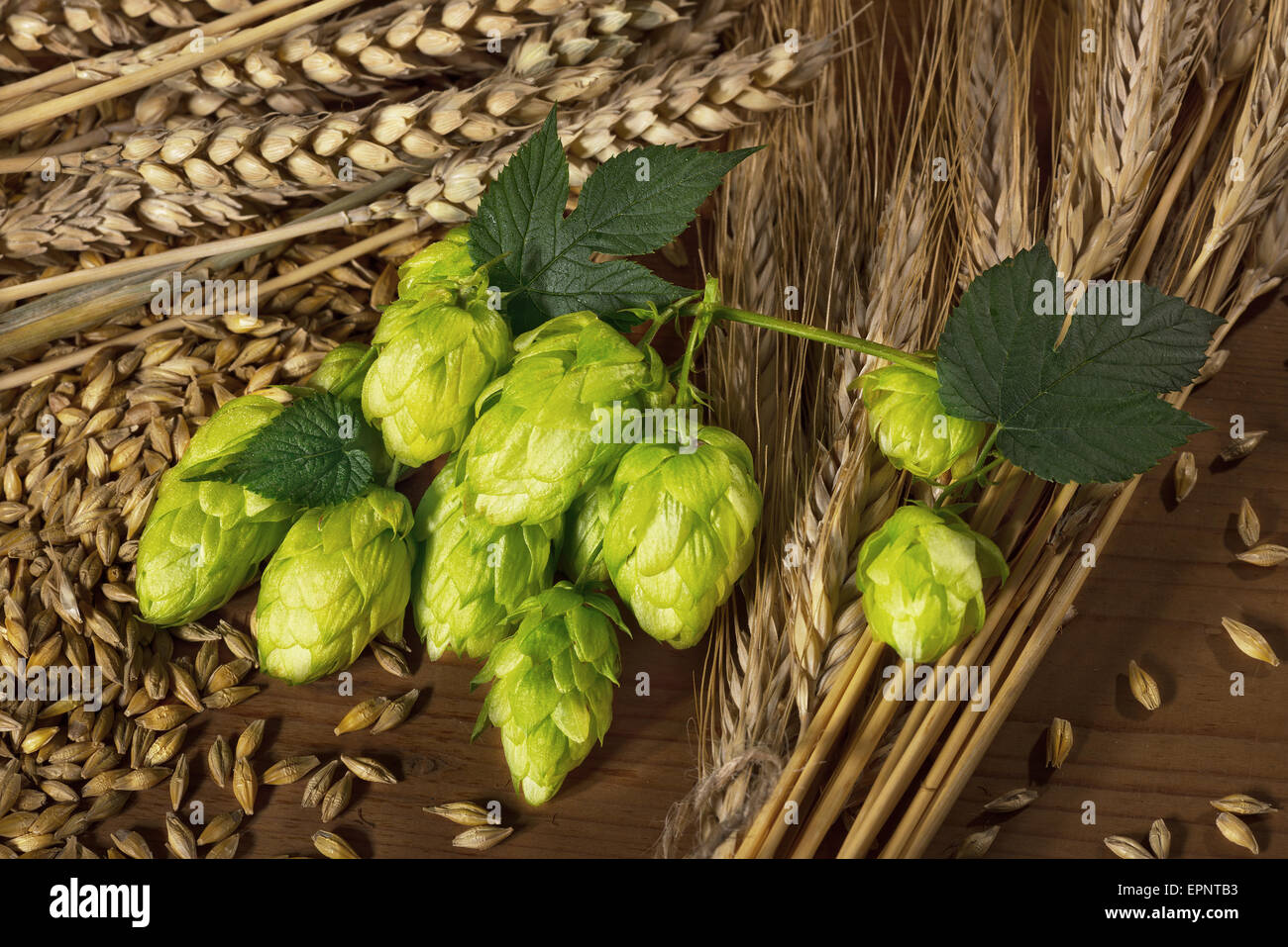 raw material for beer production Stock Photo - Alamy
