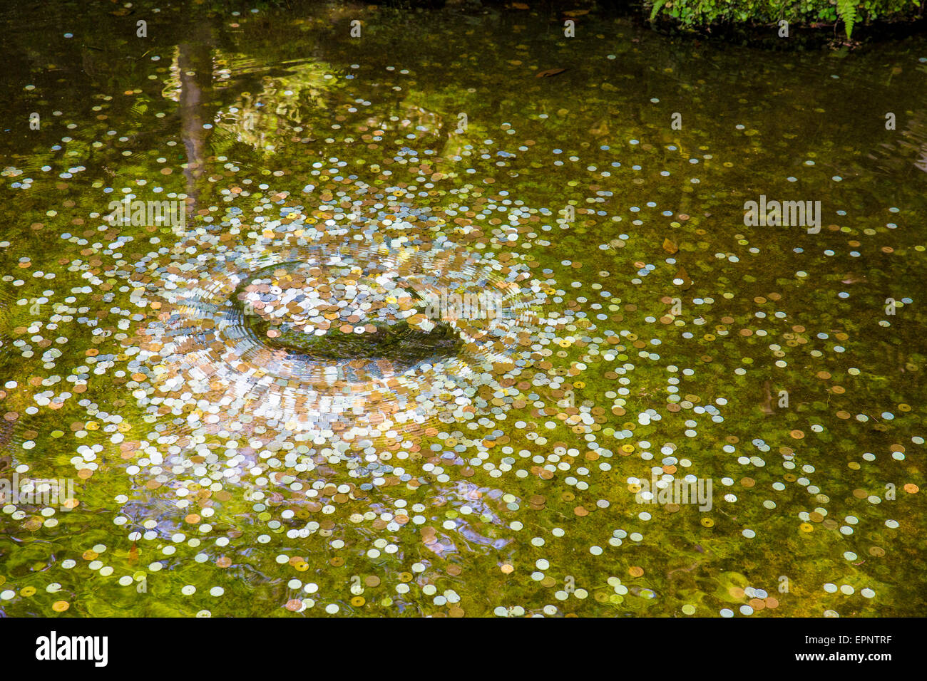 Coins in water for good luck and making a wish Stock Photo - Alamy
