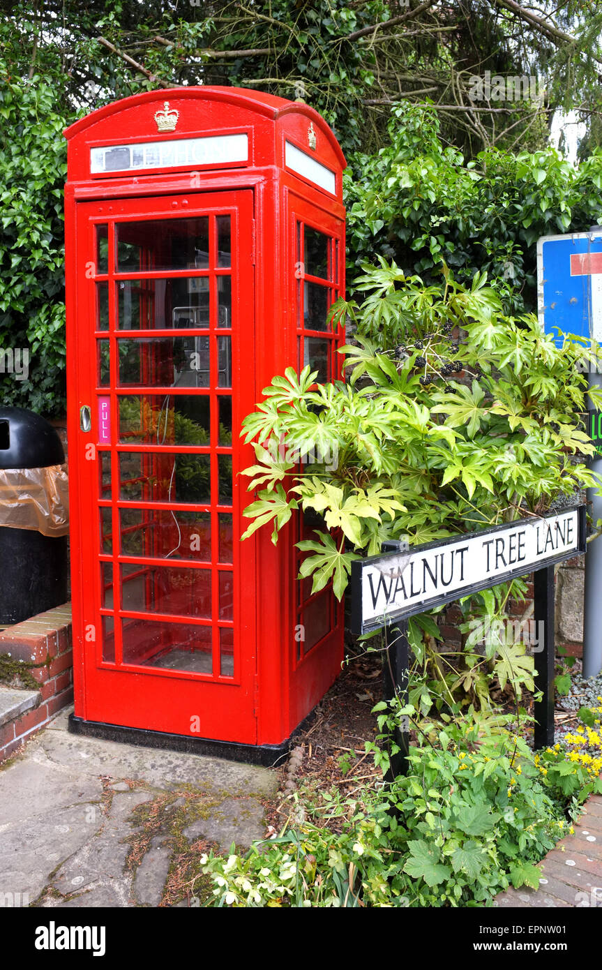 red telephone box in the small village of westbere in north east kent ...