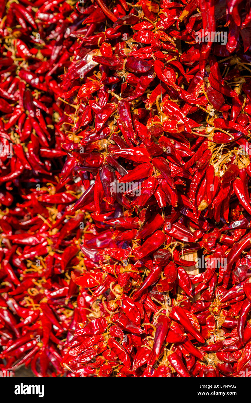 Red pepper paprika string hanging in Hungary Stock Photo - Alamy