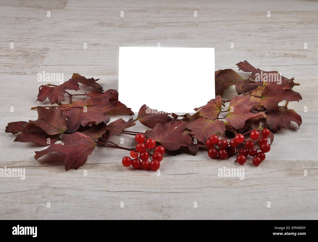 Describable hi-res stock photography and images - Alamy