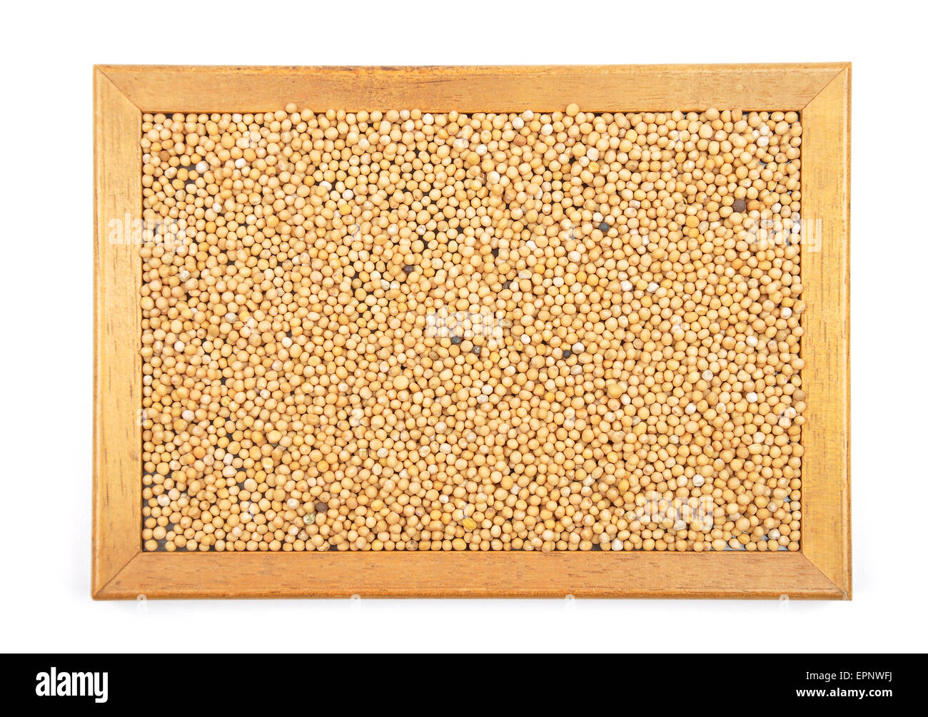 Mustard seeds in frame Stock Photo - Alamy
