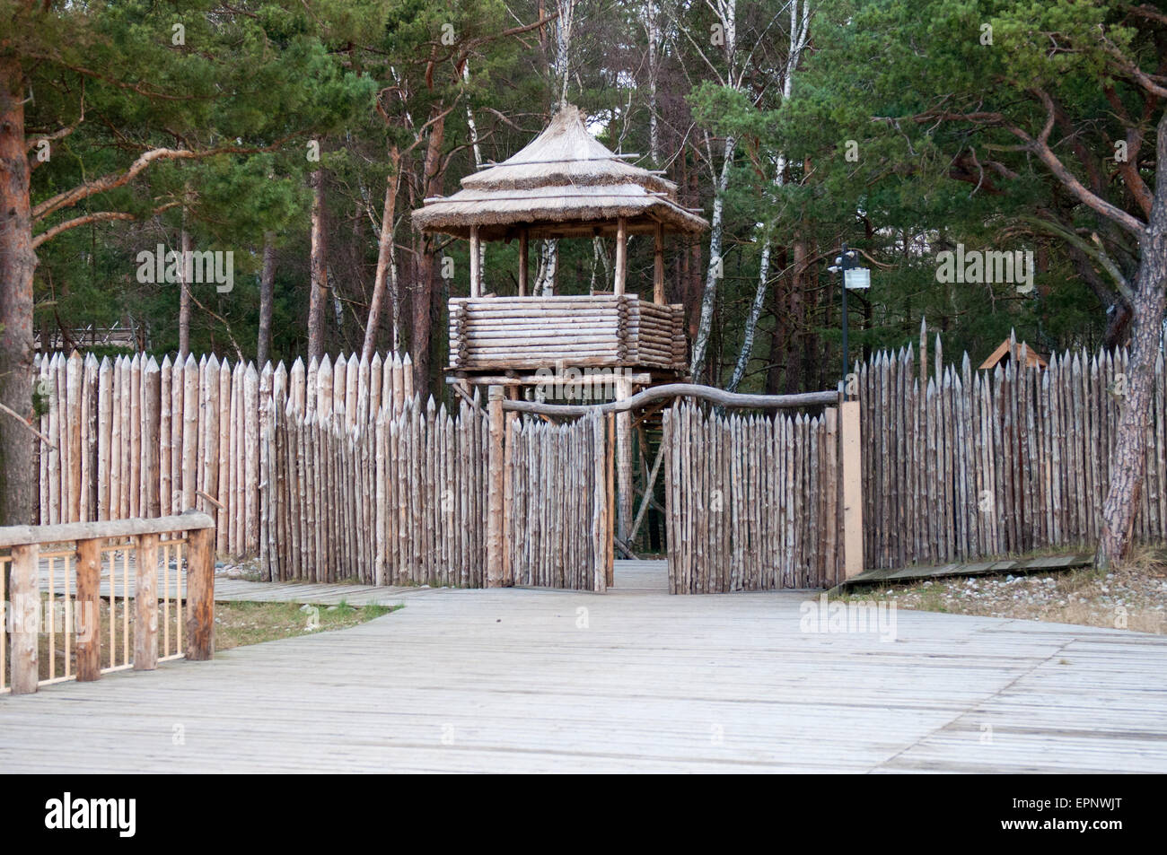 Wooden observation tower in the forest. Spring season. National Park ...