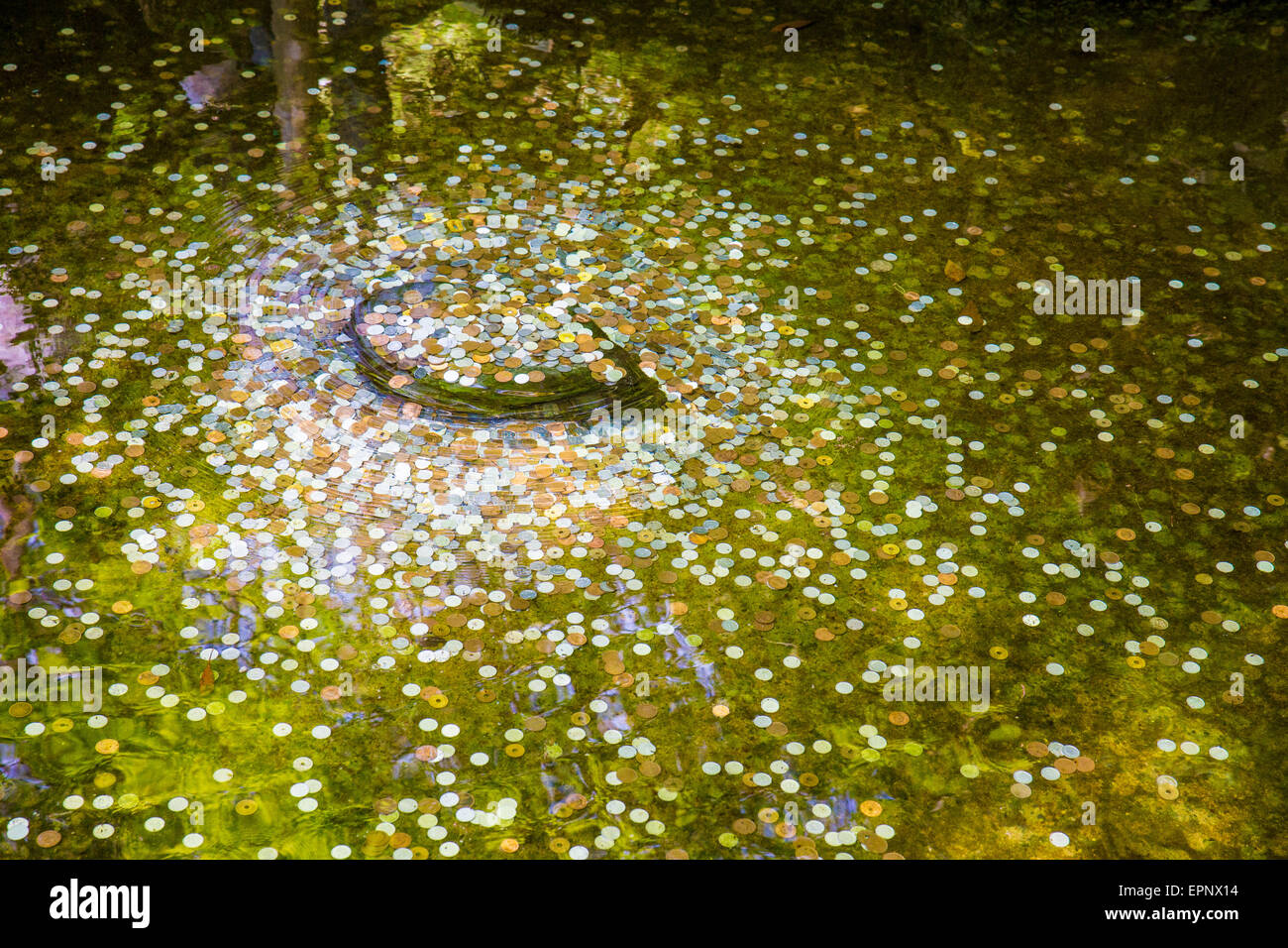 Coins in water for good luck and making a wish Stock Photo - Alamy