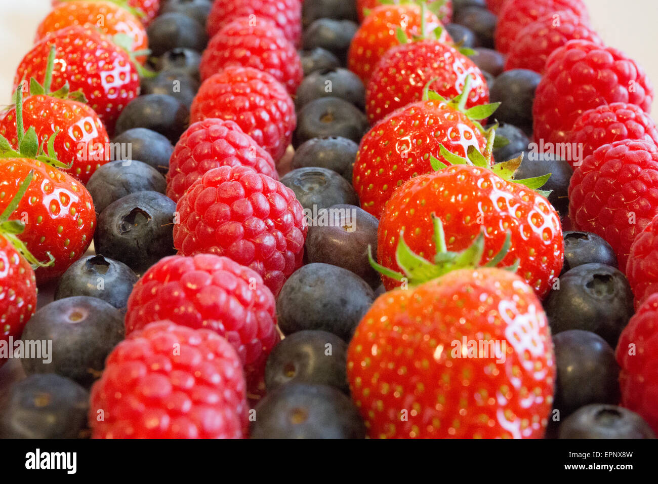 Lines of fruit arranges in columns Stock Photo - Alamy