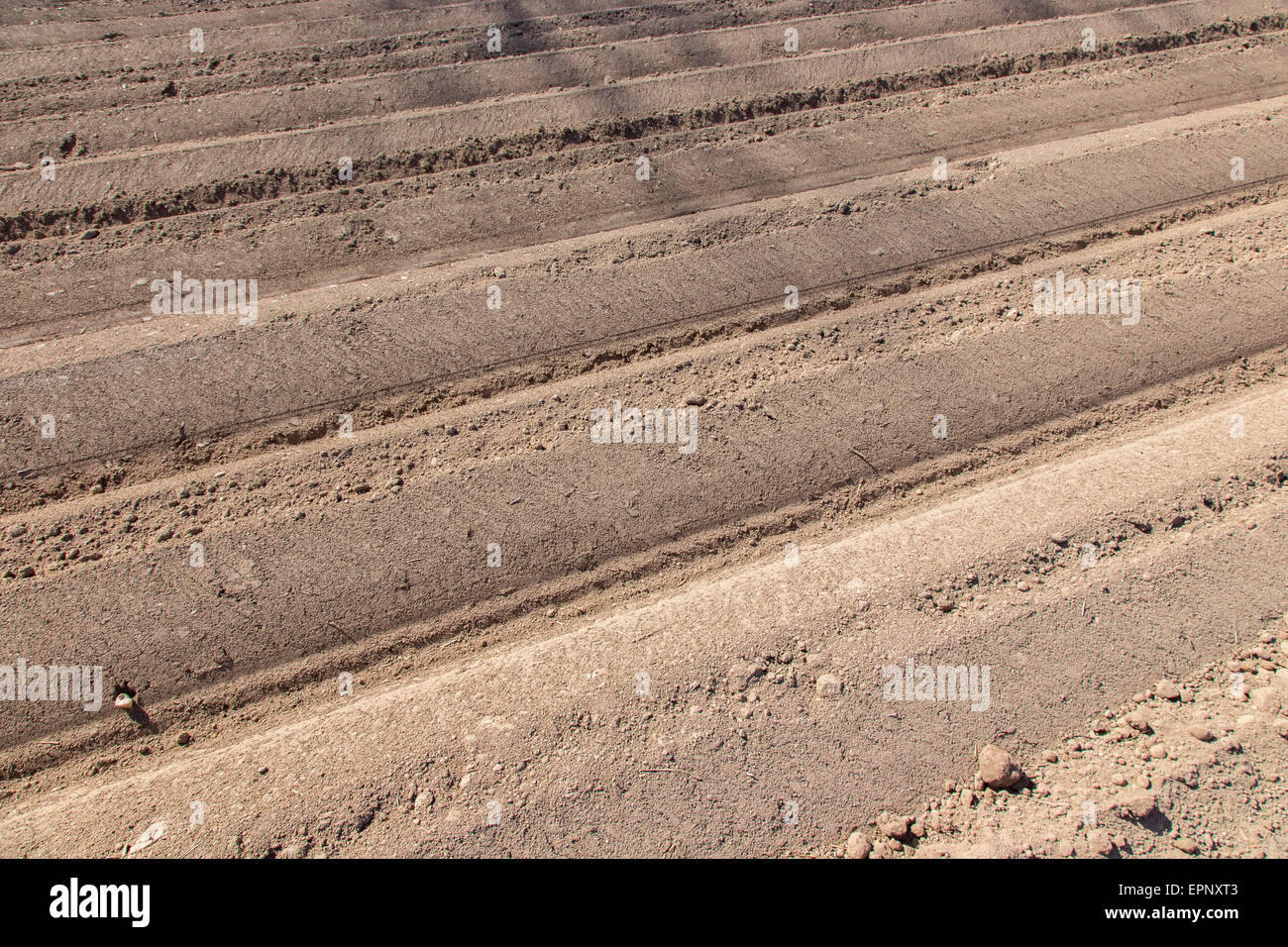 Large brown field with numerous straight rows Stock Photo - Alamy
