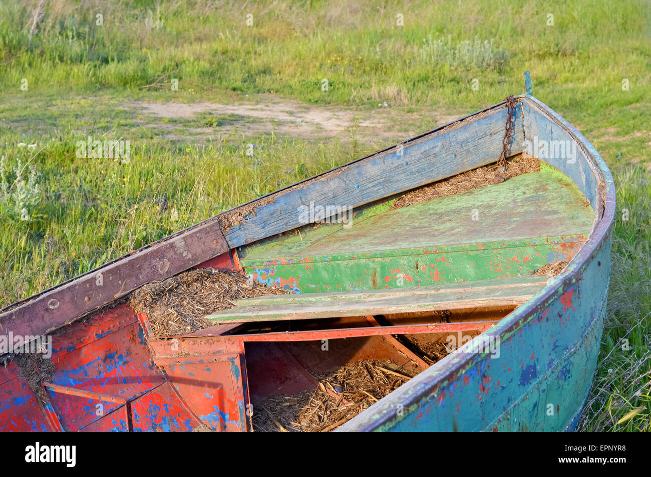 Colorful abandoned rowboat in the grass on the shore of a small lake ...