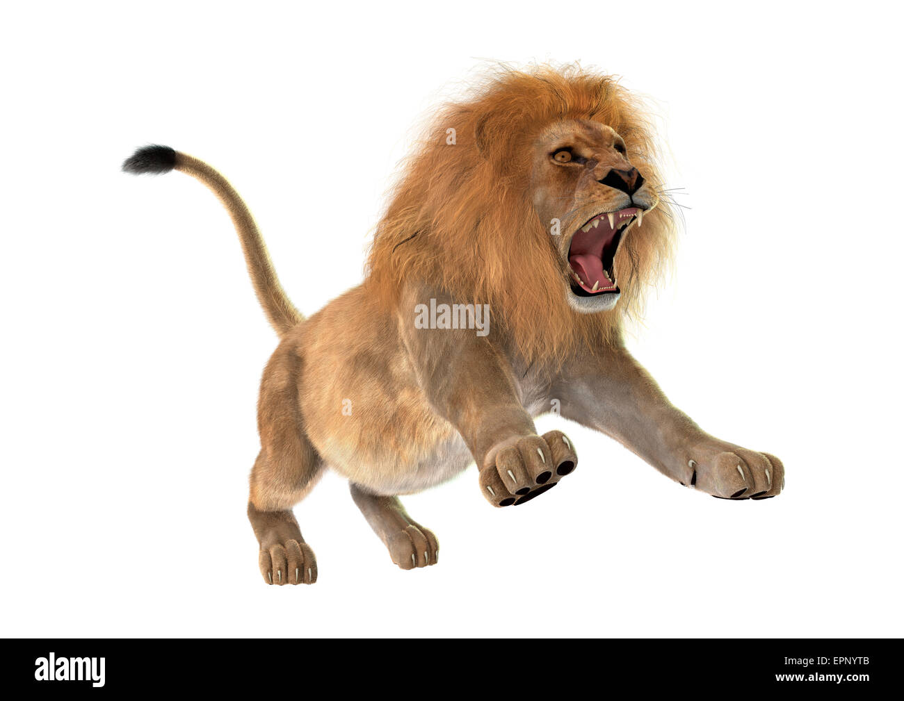 Male Lions Jumping