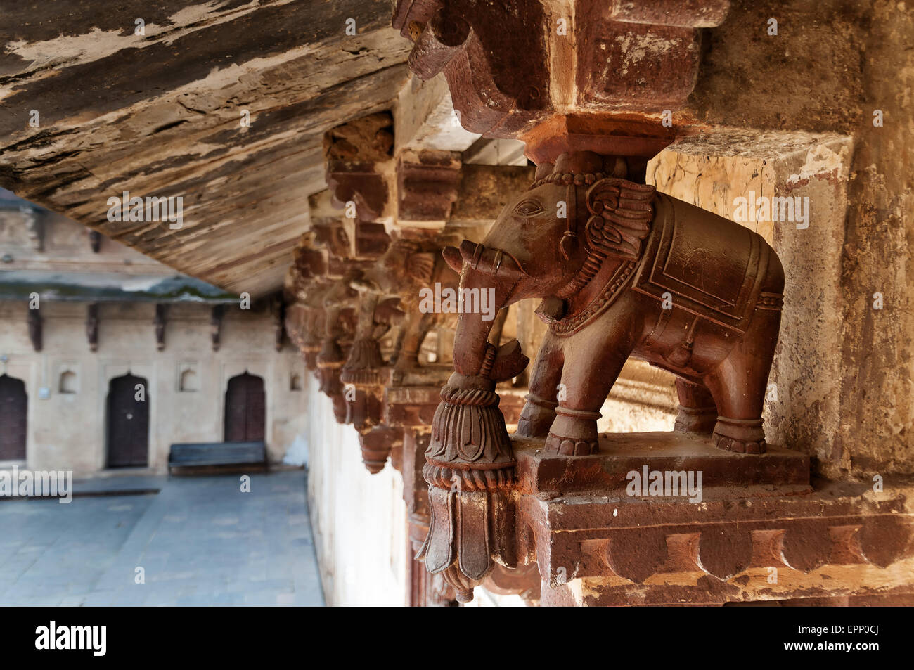 Elephant palace madhya pradesh hi-res stock photography and images - Alamy