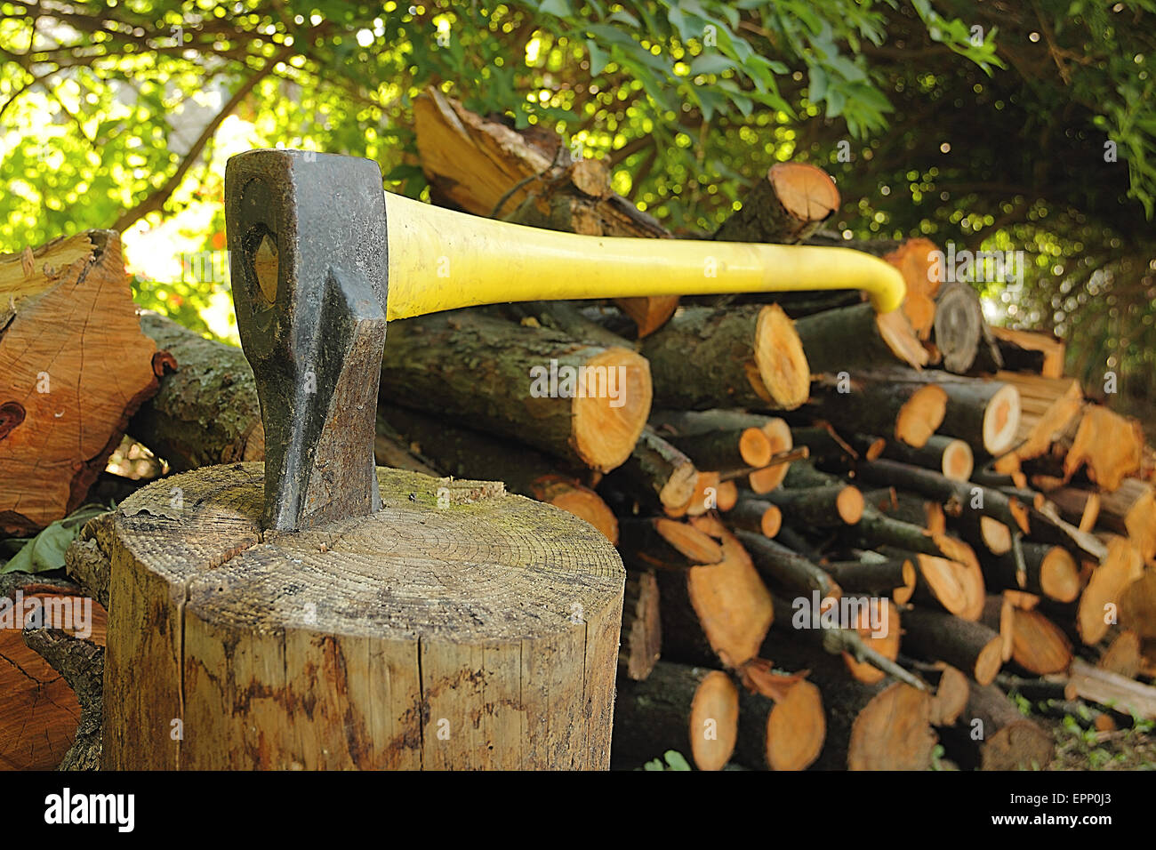 An old axe stuck in log with chopped wood Stock Photo - Alamy