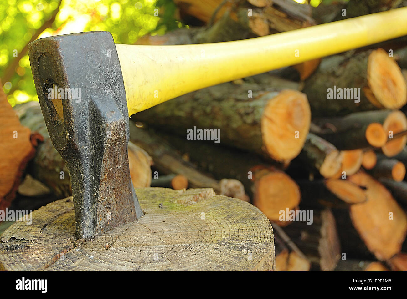 A closeup of an old axe stuck in a log with chopped wood Stock Photo ...