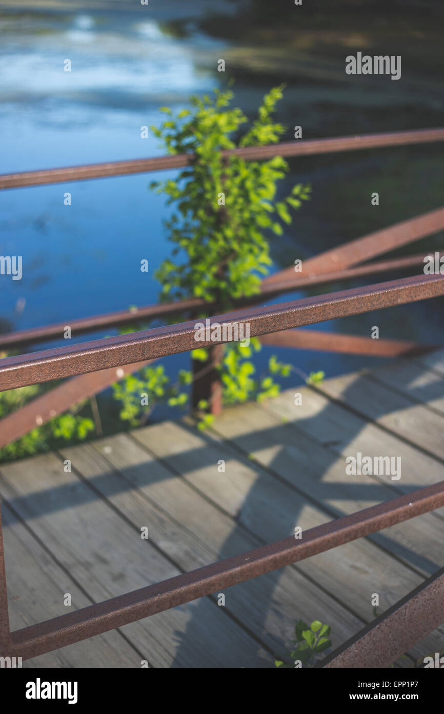 Rusted rails taken over be life Stock Photo - Alamy