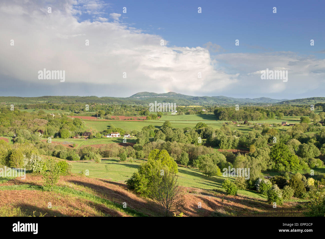 Malvern Hills from Bringsty Common in springtime, Herefordshire ...