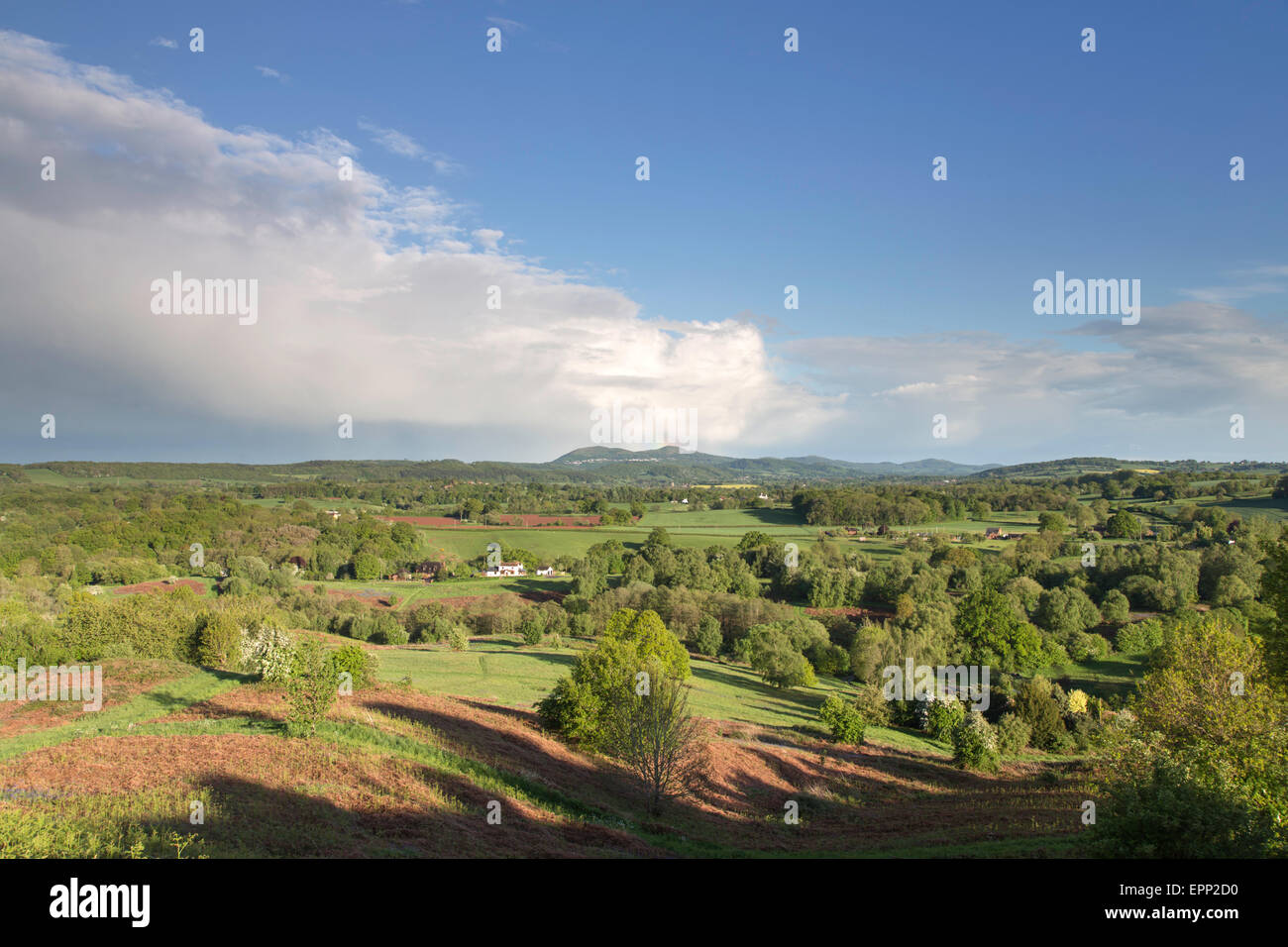 Malvern Hills from Bringsty Common in springtime, Herefordshire ...