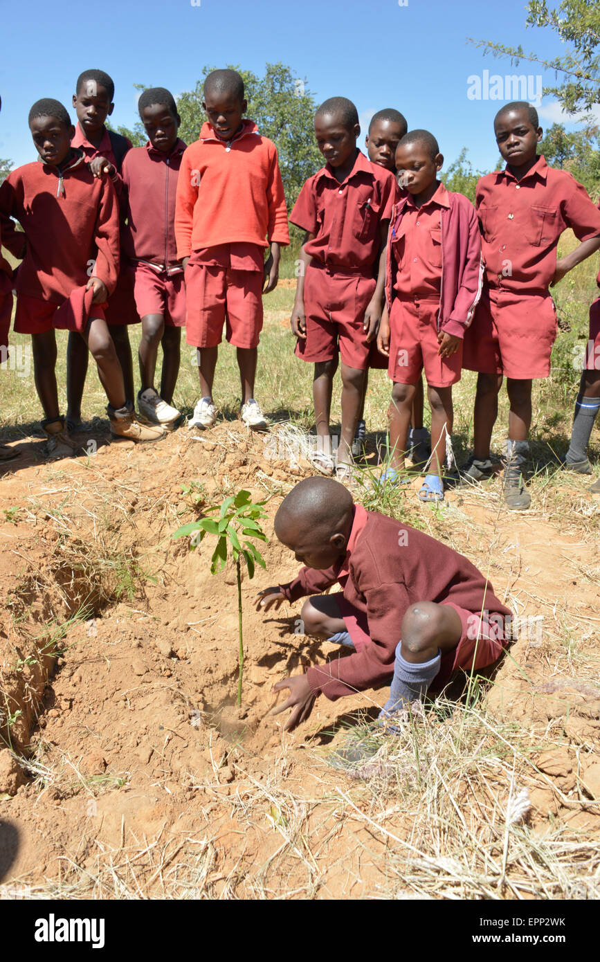 School children planting tree hi-res stock photography and images - Alamy