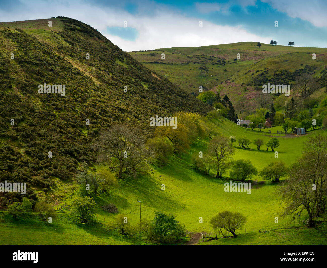 Batch Valley on the Long Mynd near Church Stretton in the Shropshire ...