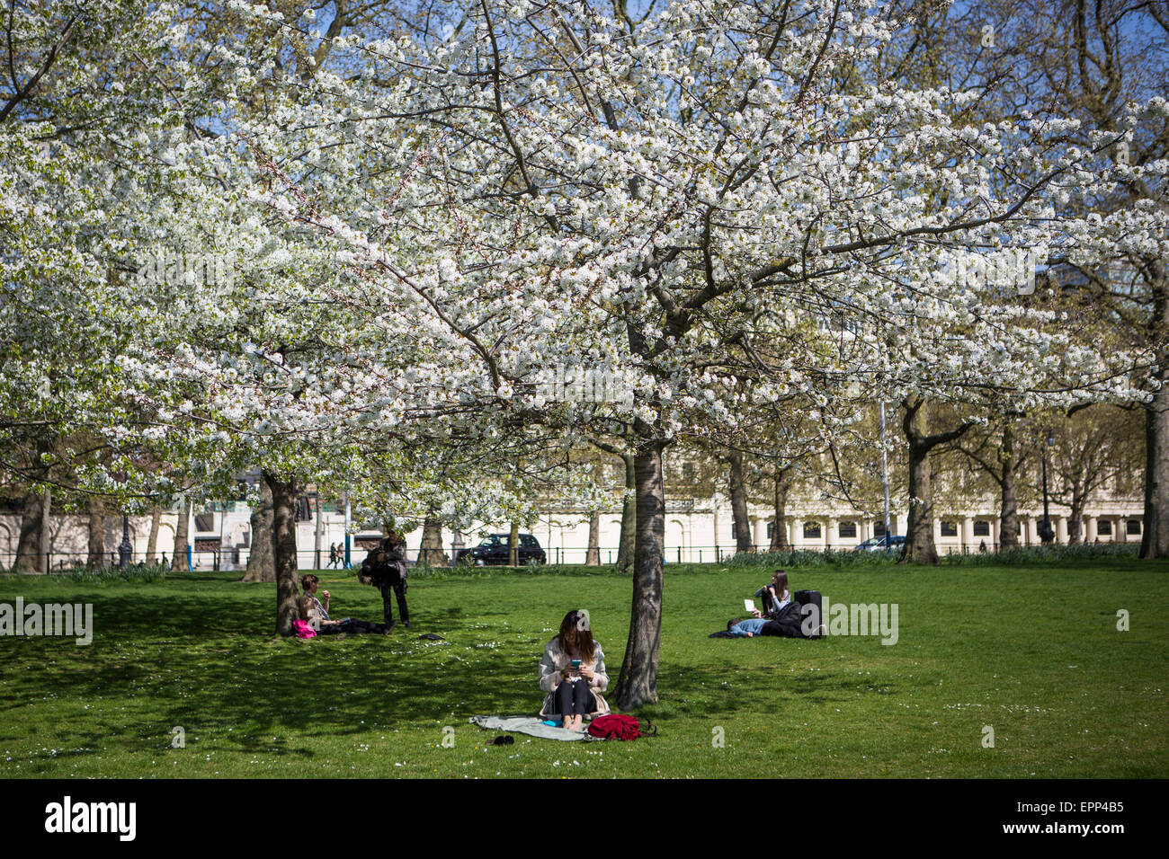 UNITED KINGDOM, London : People enjoy the Spring blossom and warm ...