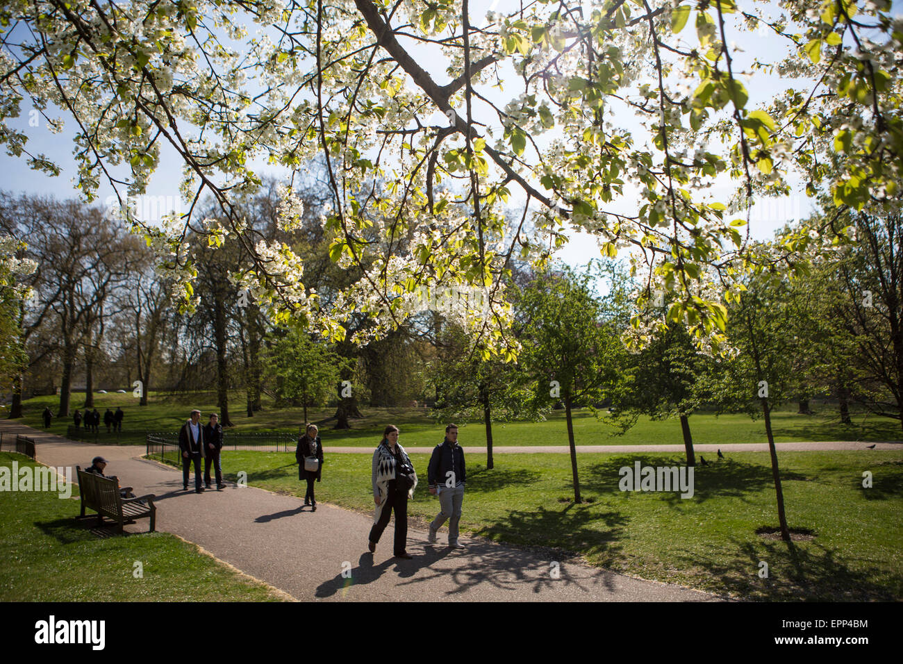 UNITED KINGDOM, London : People enjoy the Spring blossom and warm ...