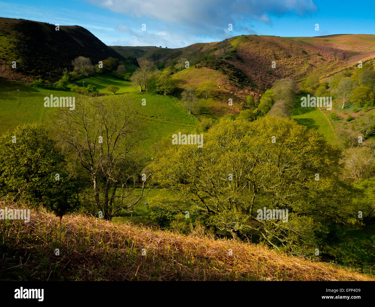 Batch Valley on the Long Mynd near Church Stretton in the Shropshire ...