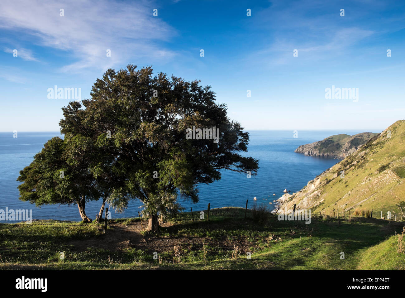 View to Tasman bay from the Cable Bay walkway, New Zealand Stock Photo ...