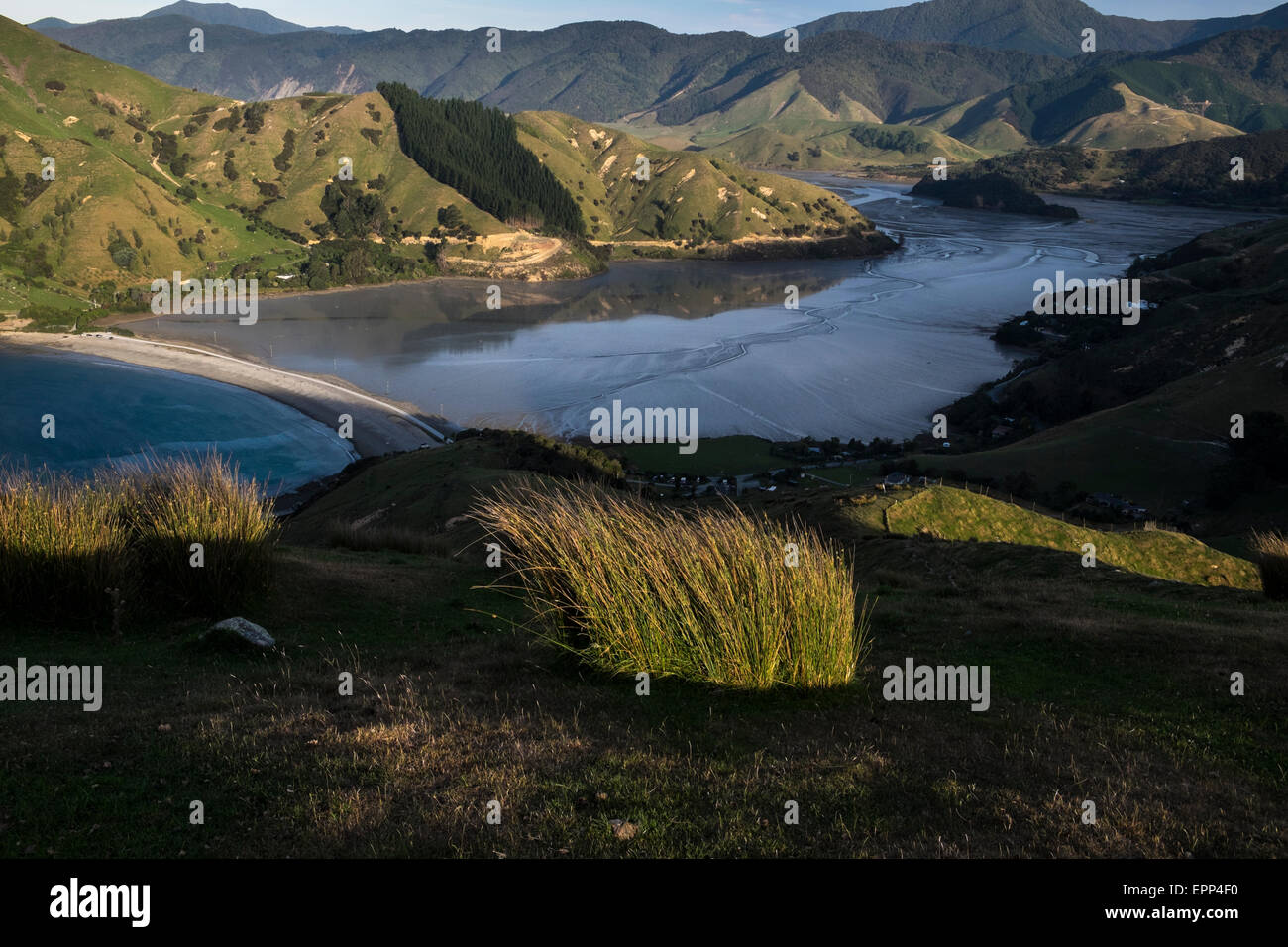 Estuary Aerial New Zealand High Resolution Stock Photography and Images ...