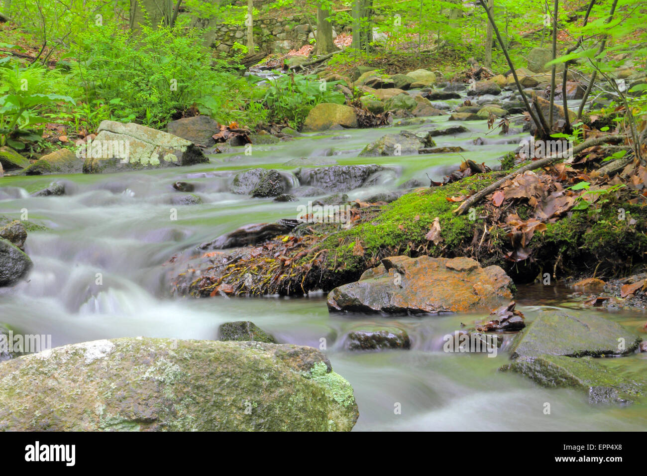 A wild stream in the wilderness shot with a slow shutter Stock Photo ...