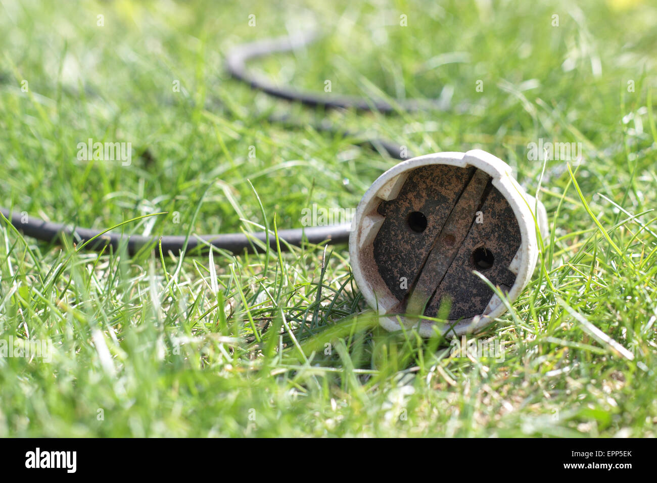 The old socket the extender in a grass Stock Photo - Alamy