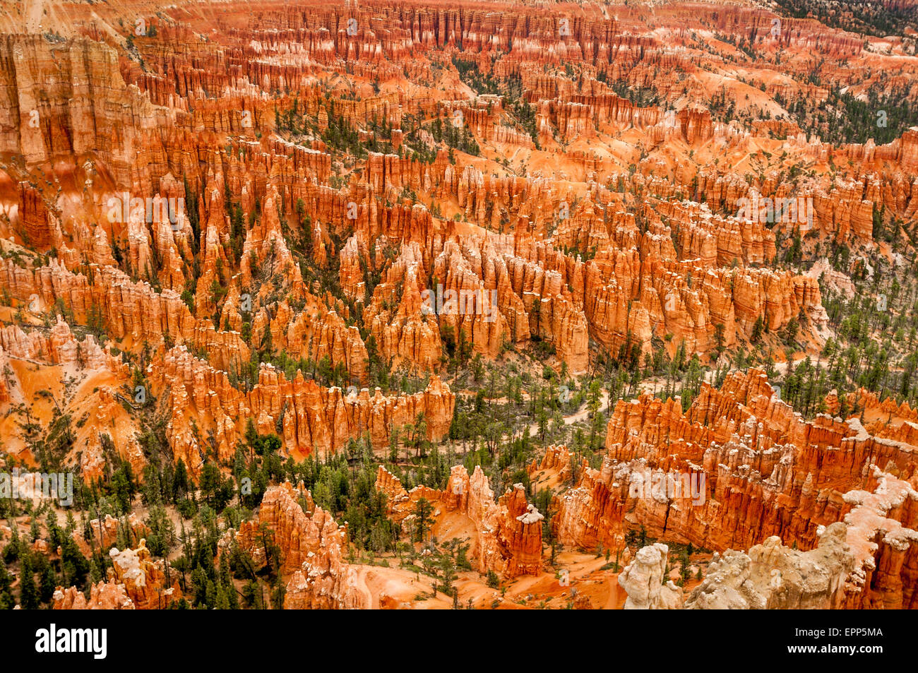 Bryce Canyon amphitheater west USA utah 2013 valley Stock Photo - Alamy