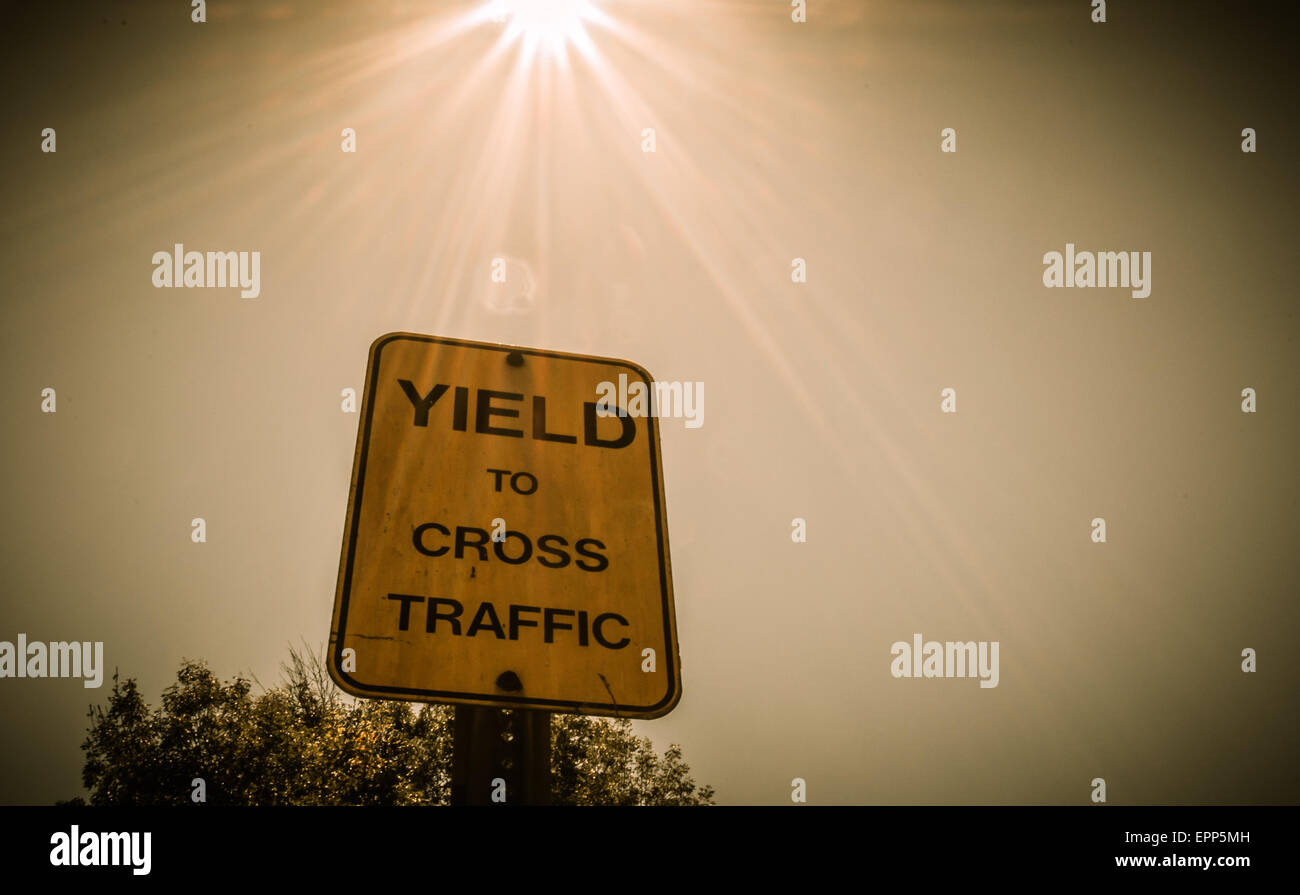 Sign Shield to cross traffic in Beverly Hills 2013 Stock Photo - Alamy