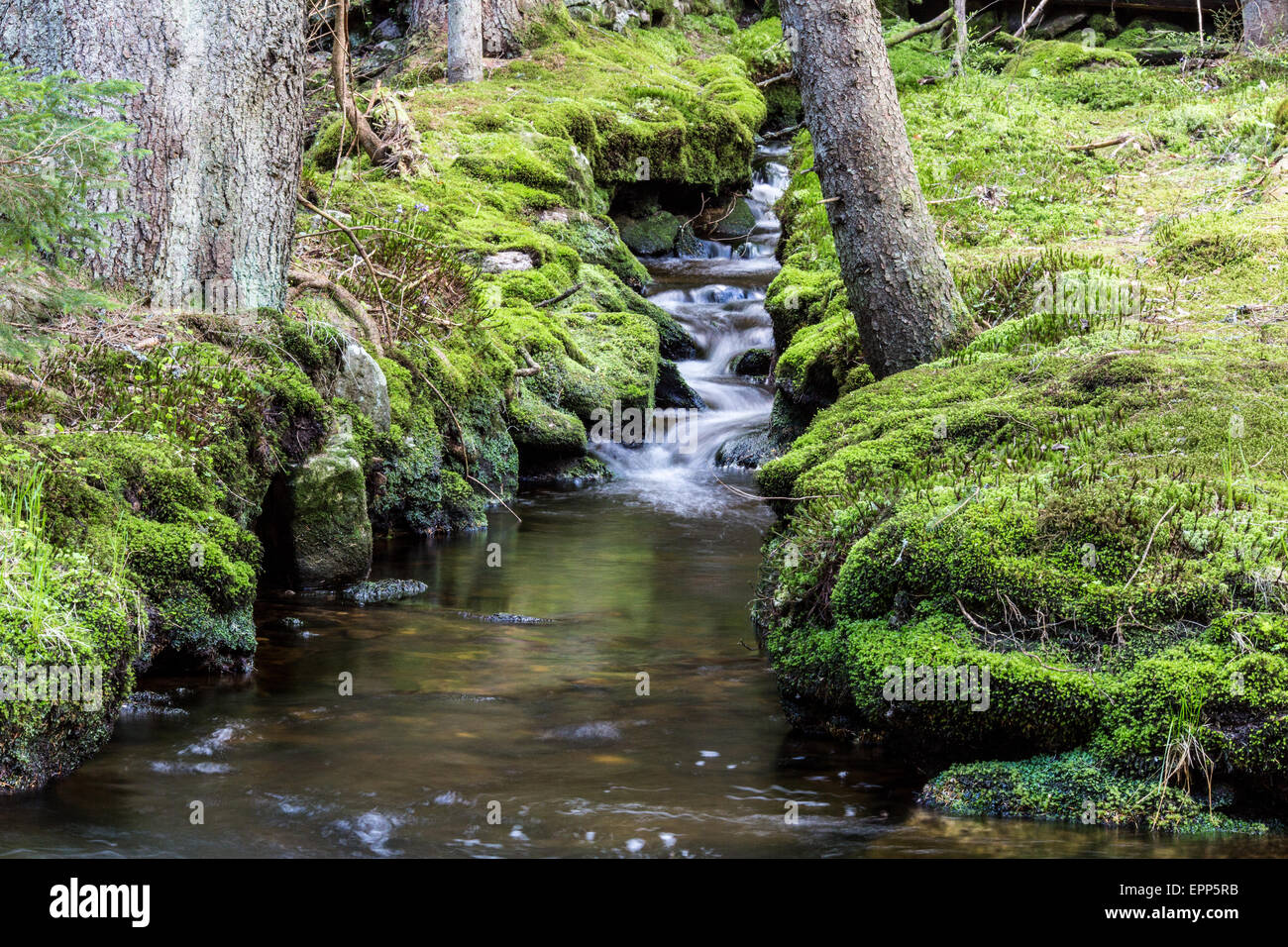 Sinuous stream hi-res stock photography and images - Alamy