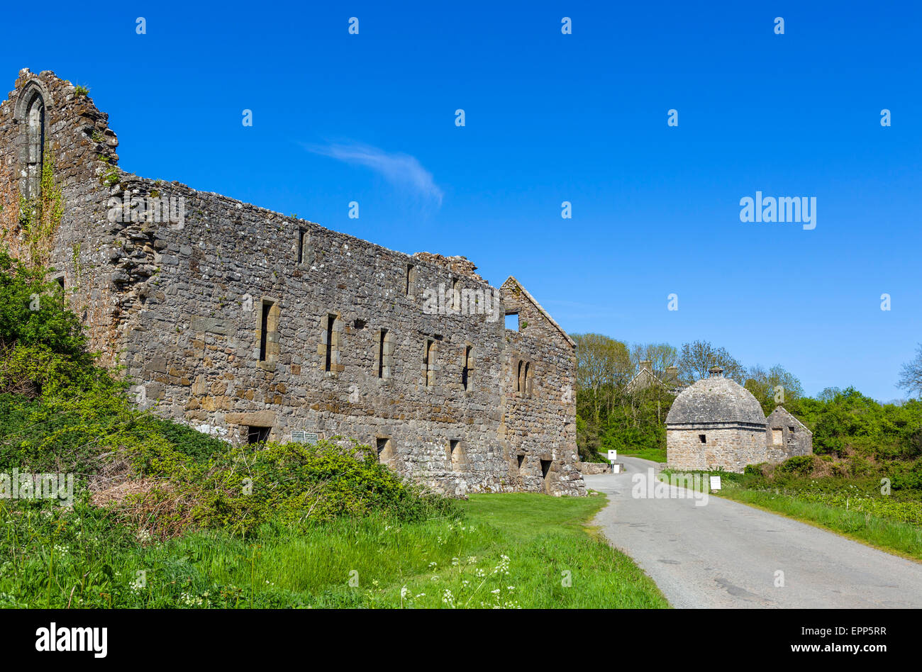 The ruins of historic Penmon Priory with the dovecote behind, Anglesey ...