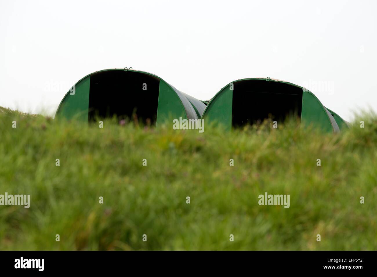 Outdoor pig huts, Sudbourne, Suffolk, UK Stock Photo - Alamy