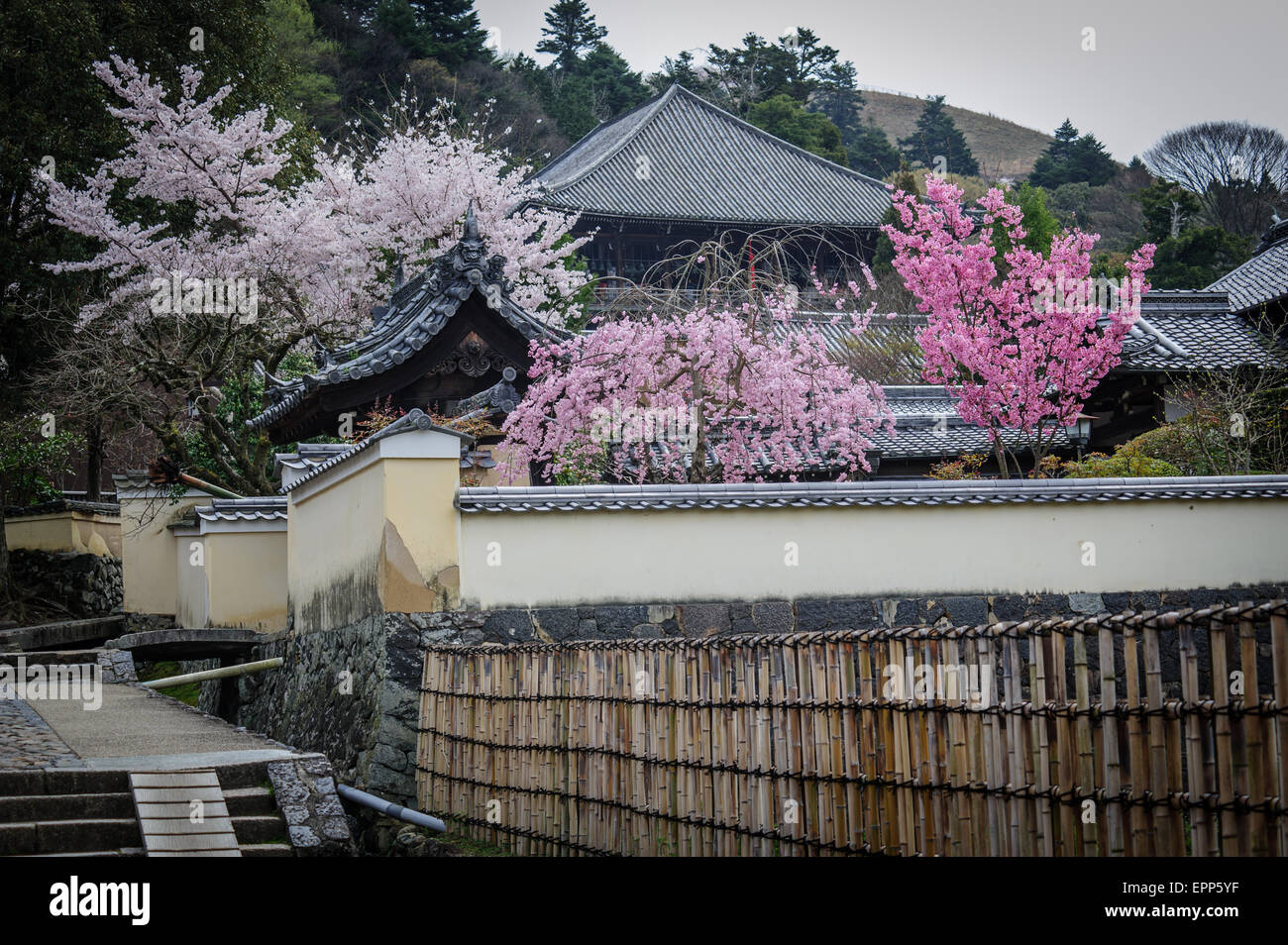 Nigatsu-do temple during the cherry blossom season in Nara , Japan ...