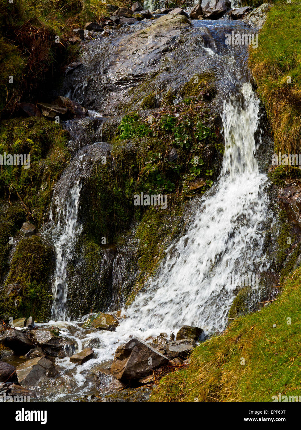 Lightspout Waterfall in the Carding Mill Valley in the Shropshire Hills ...