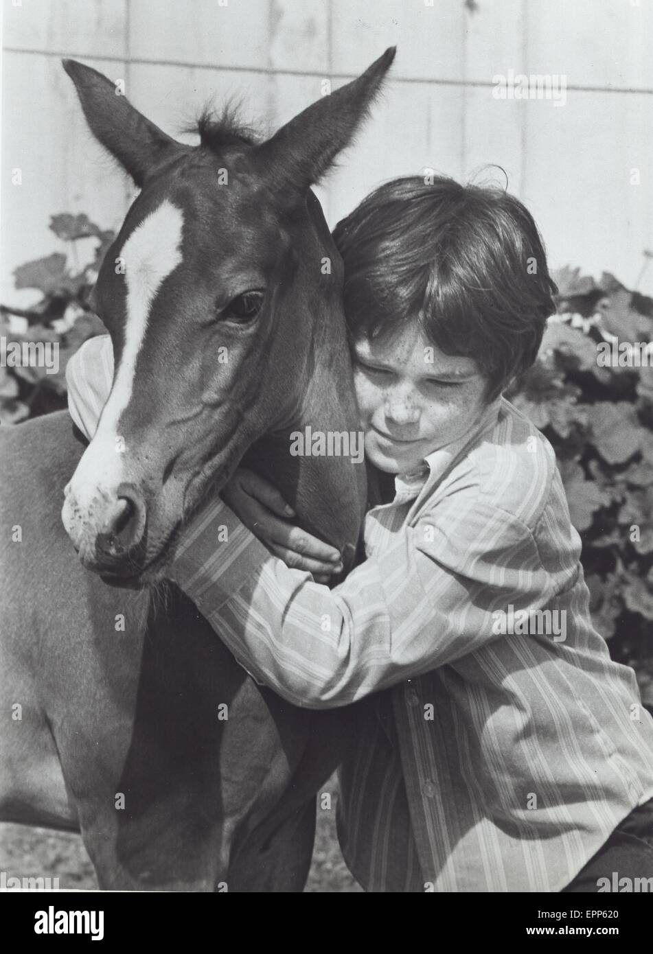 Brandon cruz hi-res stock photography and images - Alamy