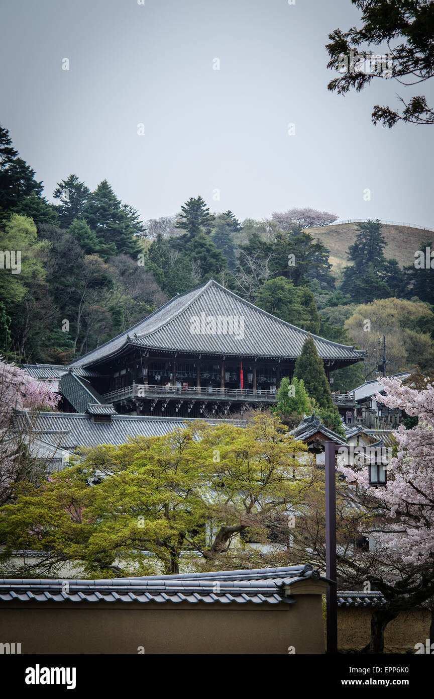 Nigatsu-do temple during the cherry blossom season in Nara , Japan ...