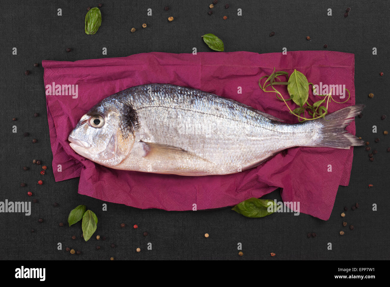 Black bream fish hi-res stock photography and images - Alamy