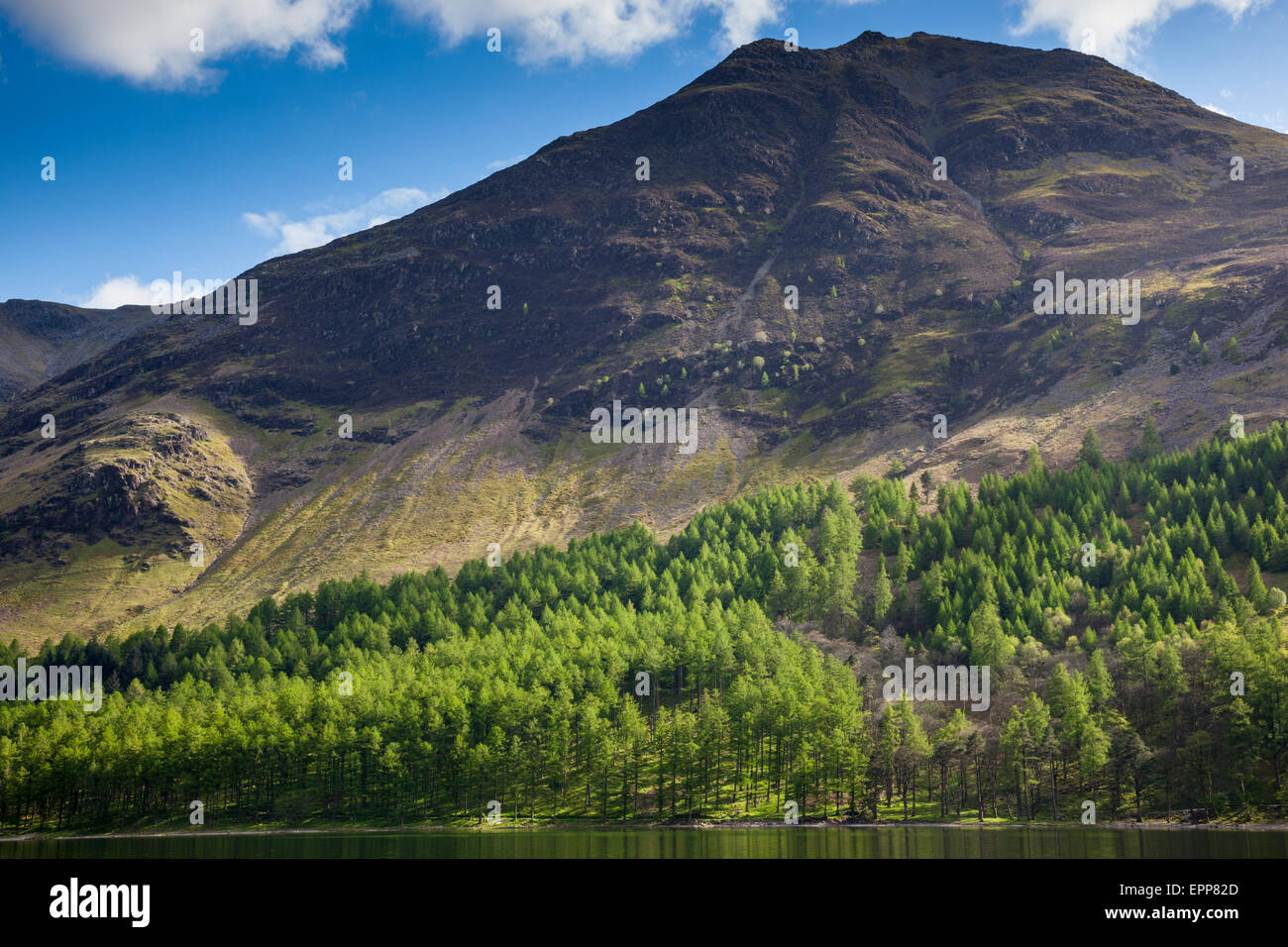 Sunlight reflecting on trees hi-res stock photography and images - Alamy
