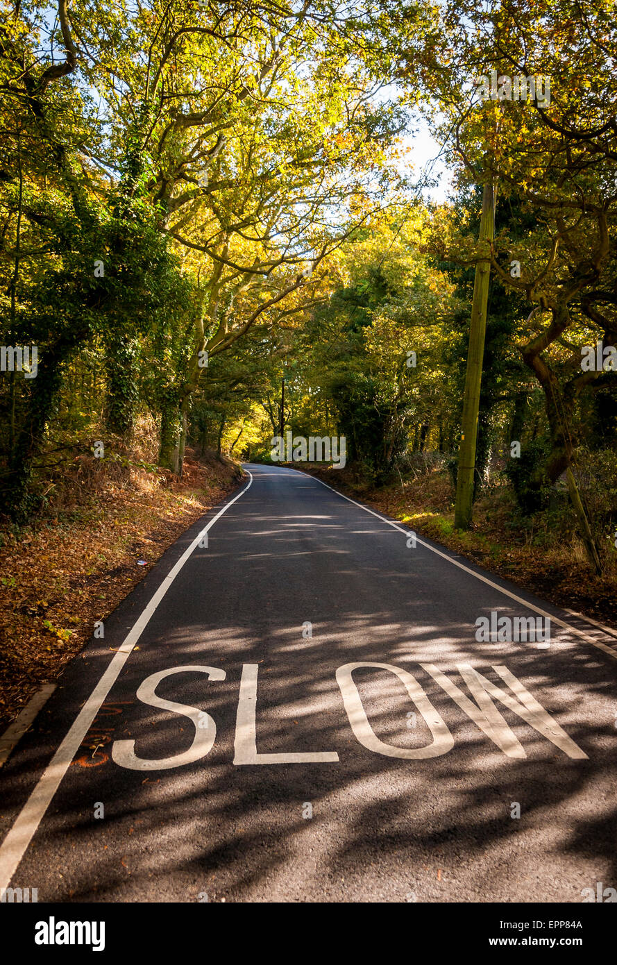 Slow Warning Sign Painted in the Road on a Country Lane, Essex, Britain ...